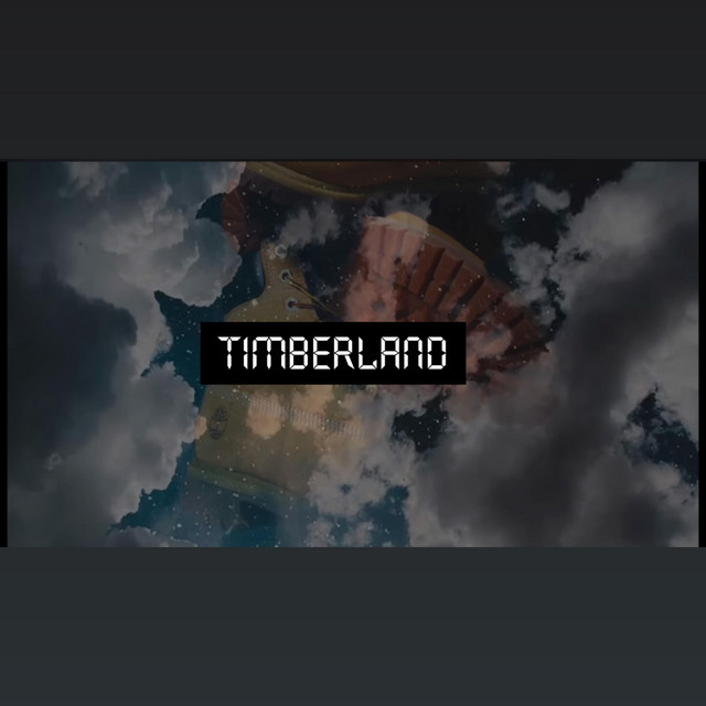 TIMBERLAND - Single by ONTK MUSIC | Spotify