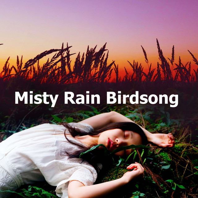 Misty Rain Birdsong - song and lyrics by Natural Sounds | Spotify