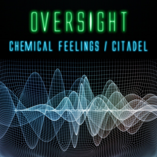 The Citadel - song and lyrics by Oversight | Spotify