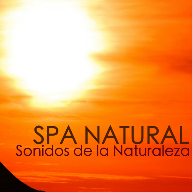 Claridad - song and lyrics by Sonidos de la Naturaleza Star | Spotify