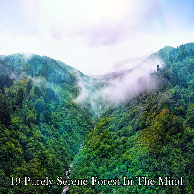 19 Purely Serene Forest In The Mind - Album by Sounds of Nature ...