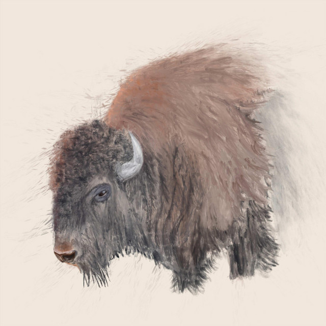 Buffalo Acoustic Sessions - EP by Gatlin Johnson | Spotify