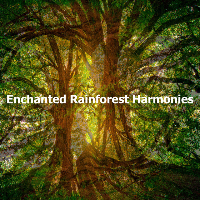 Enchanted Rainforest Harmonies - Album by Nature & Rainforest Sounds ...