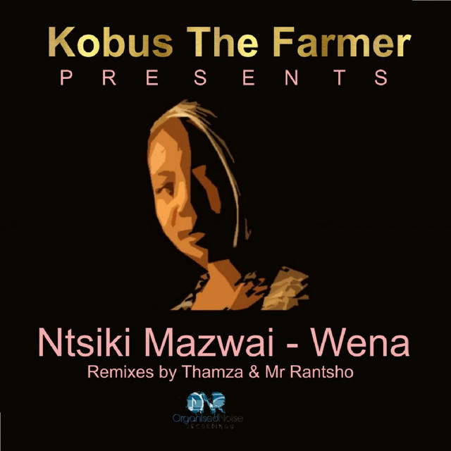Ntsiki Mazwai - Songs, Events and Music Stats | Viberate.com