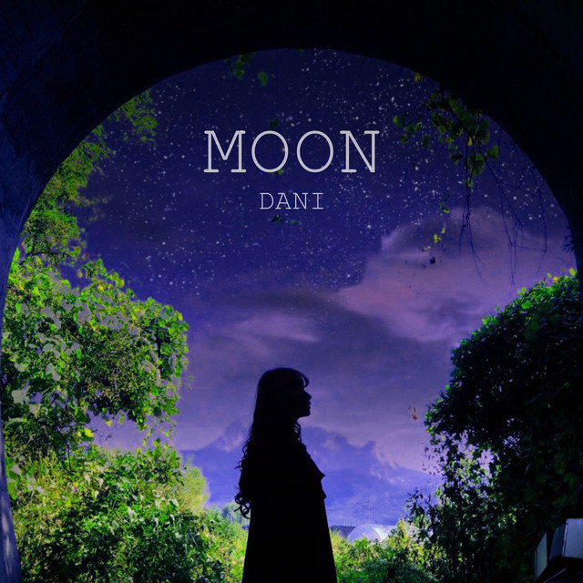 MOON - Single by DANI | Spotify