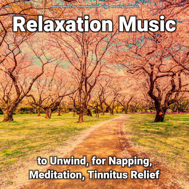 #01 Relaxation Music to Unwind, for Napping, Meditation, Tinnitus ...