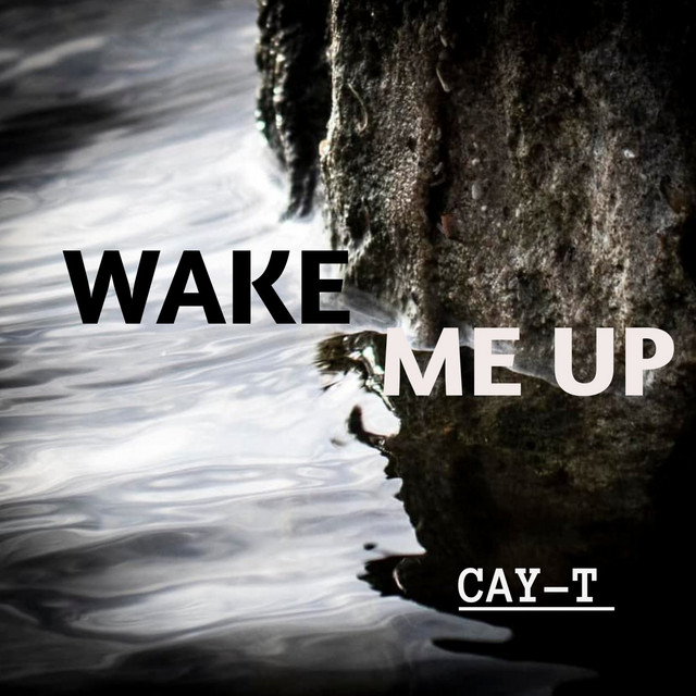 Wake me up - song and lyrics by Cay-T | Spotify