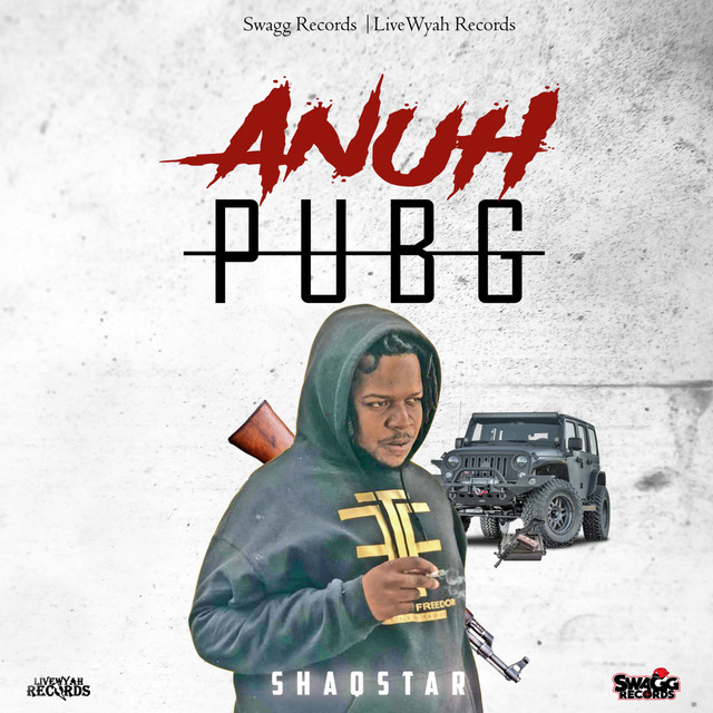 Anuh PUBG - Single by ShaqStar | Spotify