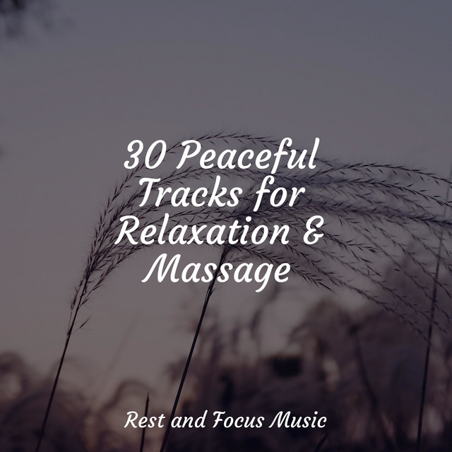 30 Peaceful Tracks for Relaxation & Massage - Album by Wellness | Spotify