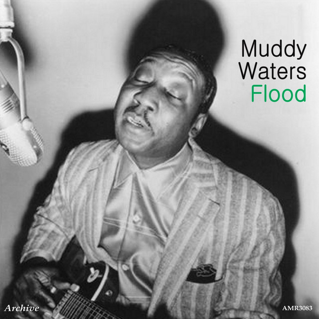 Flood - Compilation by Muddy Waters | Spotify