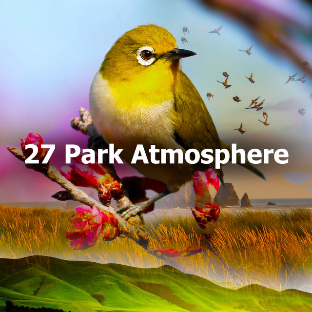 27 Park Atmosphere - Album by Animal and Bird Songs | Spotify