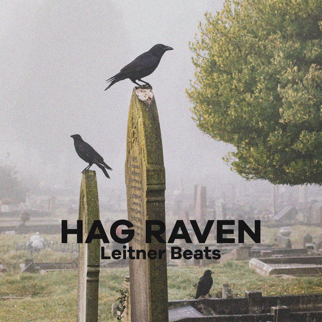 Hag Raven - Single by Leitner Beats | Spotify