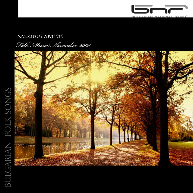 Folk Music November 2008 - Compilation by Various Artists | Spotify