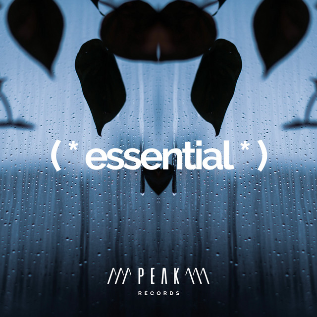 essential * ) - Album by Rainfall | Spotify