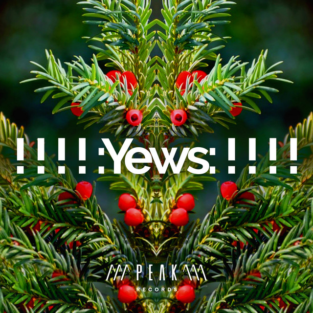 Yews: ! ! ! ! - Album by Nature Sounds Nature Music | Spotify