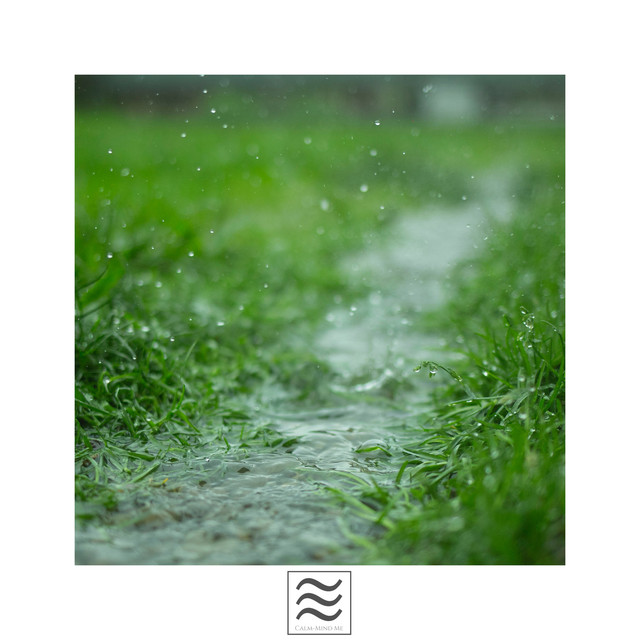 Captivating Rain and Bowls | Spotify