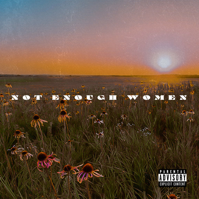 Not Enough Women - Single by Openmine | Spotify