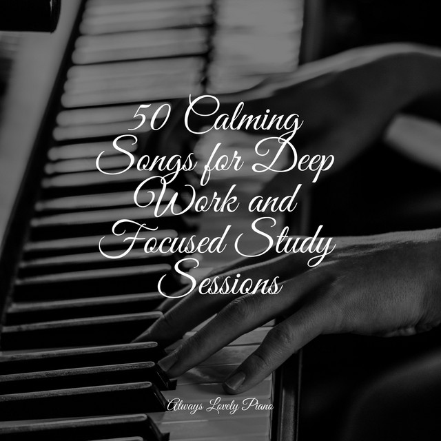 50 Calming Songs for Deep Work and Focused Study Sessions - Album by ...