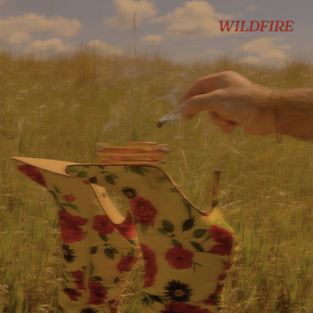 Wildfire - Single by Desperate Electric | Spotify