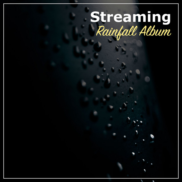 #19 Streaming Rainfall Album for Relaxing & Sleep - Album by Pro Sounds ...