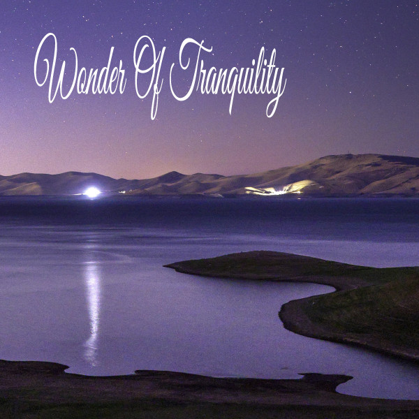 Wonder Of Tranquility - Album by Relaxing Rain Sounds | Spotify