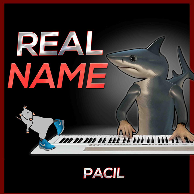 REAL NAME of MEME SONGS (part 3) - Single by PACIL | Spotify