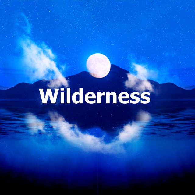 Wilderness - Album by Sommeil profond | Spotify