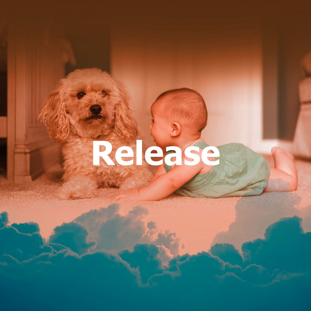 Release - Album by Baby Shushing | Spotify