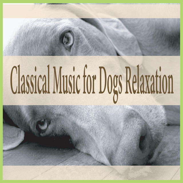 Classical Music for Dogs Relaxation - Album by Michael Watertown | Spotify