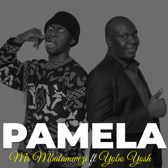 Pamela - Single by Mr Mbalamwezi | Spotify