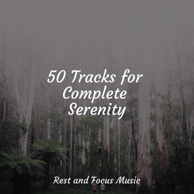 50 Tracks for Complete Serenity - Album by Spa | Spotify
