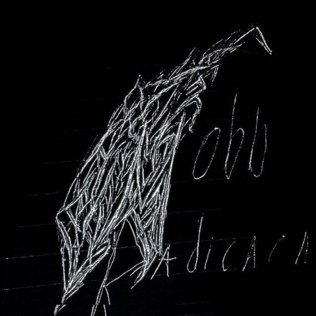 The Ditch Witch - Single by Mobbs Radical | Spotify