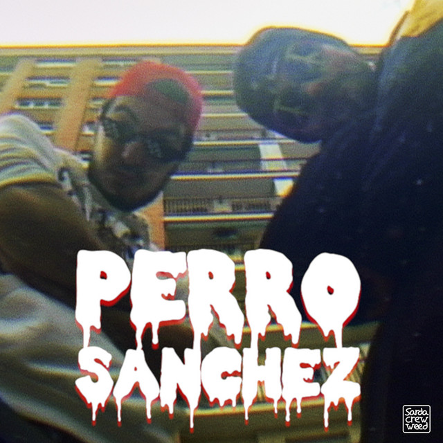 Perro Sánchez - Single by Lasaña13 | Spotify