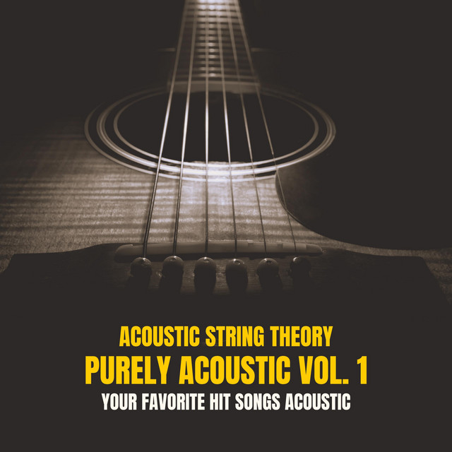 Purely Acoustic, Vol. 1 - Album by Acoustic String Theory | Spotify
