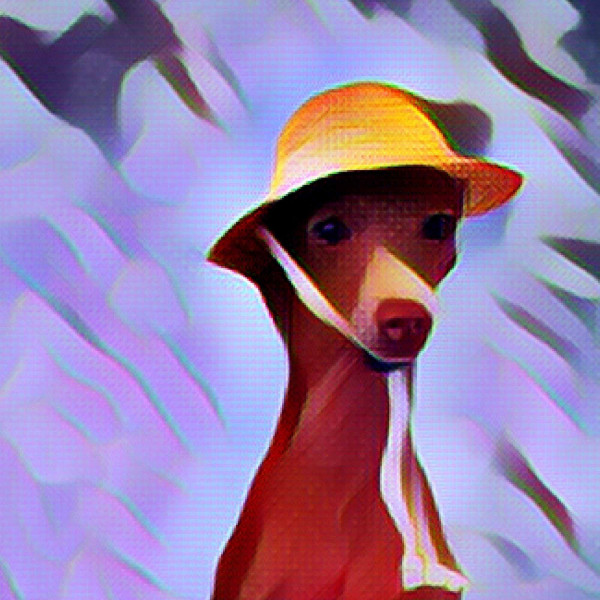 Mellow Piano Bossa Duo - Ambiance for Coziest Dogs - Album by Relaxing ...