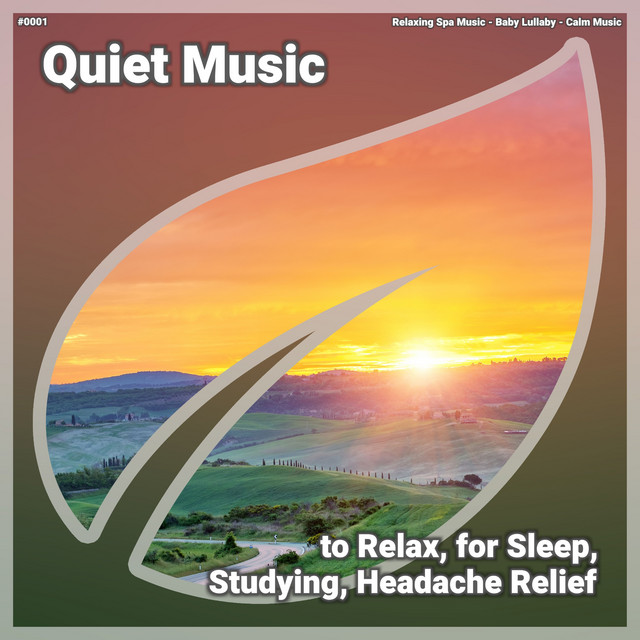 Calm Music Spotify