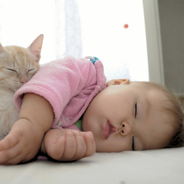 Baby Sleep Music With Brown Noise Vol. 1 - Album by Heavenly Realms ...