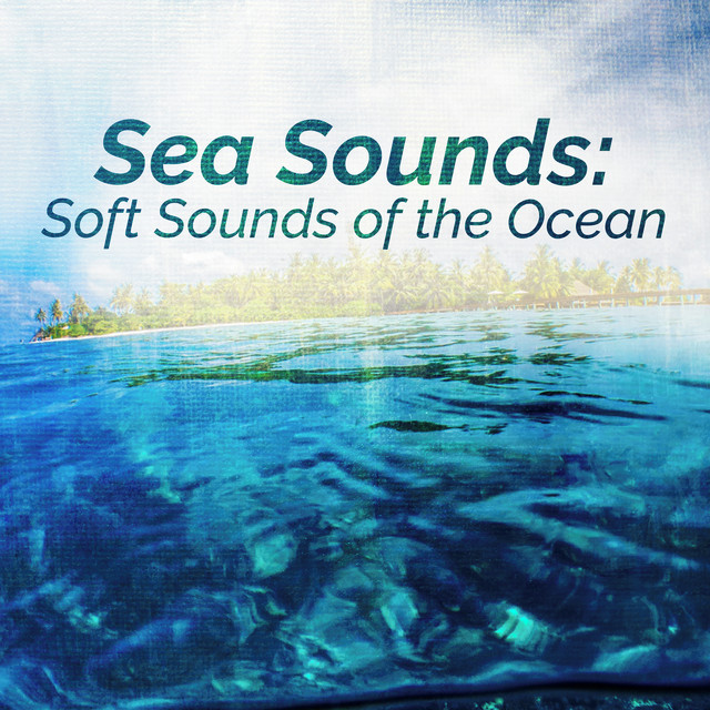 Sea Sounds: Soft Sounds of the Ocean - Album by Sea Waves Sounds | Spotify
