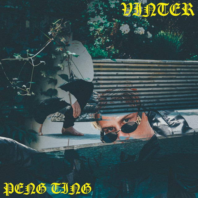 Peng Ting - song and lyrics by Vinter | Spotify