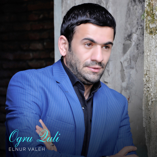 Ogru Quli - Single by Elnur Valeh | Spotify
