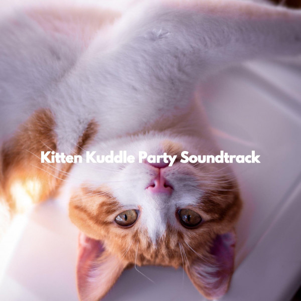 Kitten Kuddle Party Soundtrack - Album by Super Jazz Cafe Music | Spotify