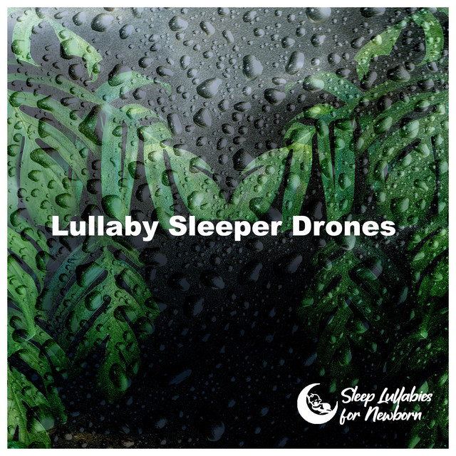 Lullaby Sleeper Drones - Album by Sleep Lullabies for Newborn | Spotify