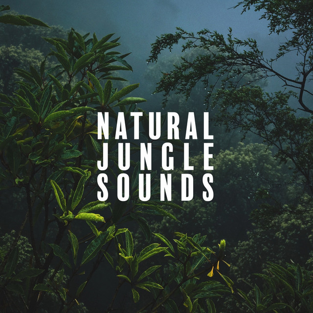Natural Jungle Sounds (Primal Rainforests Soundscape for Relaxation ...