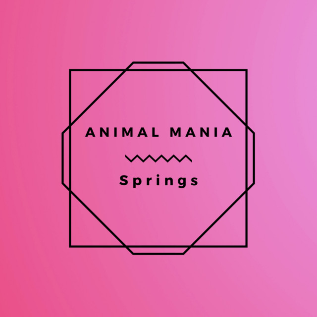Springs - Single by ANIMAL MANIA | Spotify
