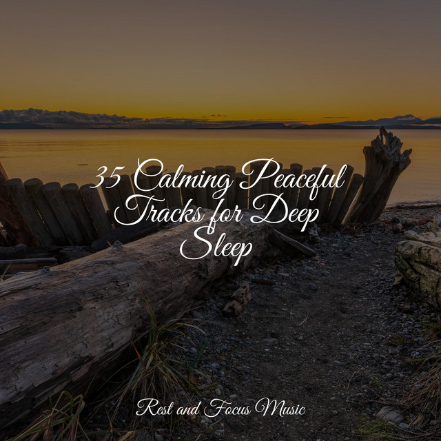 35 Calming Peaceful Tracks for Deep Sleep - Album by Relaxing ...