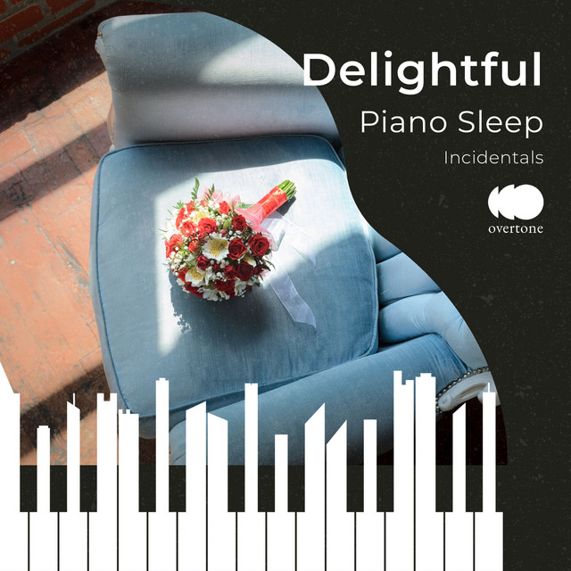 zZz Delightful Piano Sleep Incidentals zZz - Album by Concentrate with ...