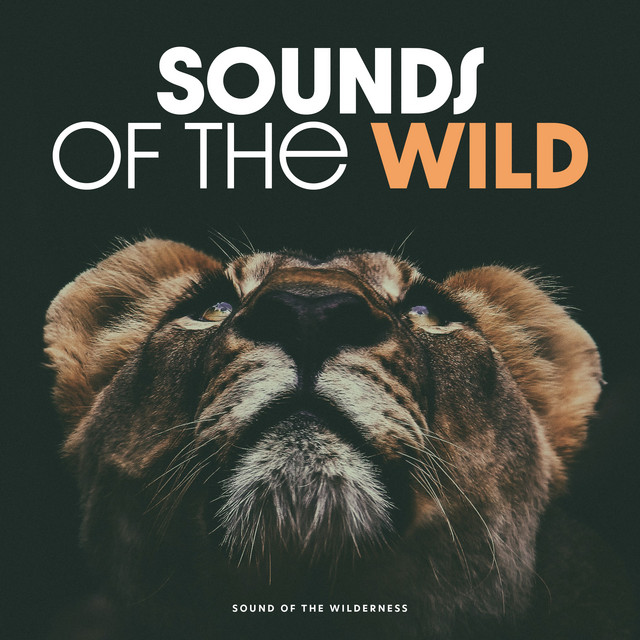 Sounds of the Wild - Album by Sound of the Wilderness | Spotify