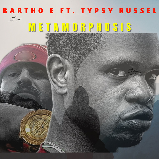 Metamorphosis - Single by Bartho E | Spotify
