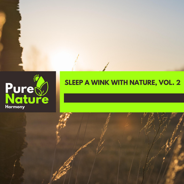 Sleep a Wink With Nature, Vol. 2 – Álbum de Nature Field Recordings ...