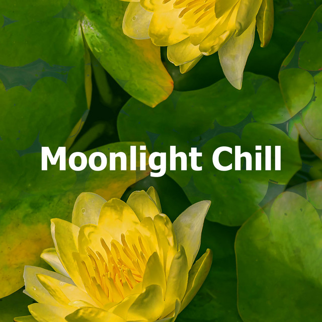 Moonlight Chill - Album by Zen | Spotify